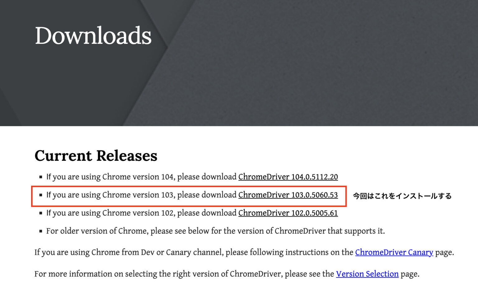 【Python初心者向け】pip を使って ChromeDriver をインストールする方法【スクレイピング環境構築】｜工場プログラマーのモダン開発プラクティス